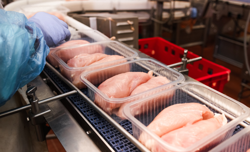 Audit Preparation and On-Site Food Safety | MCG Food Safety
